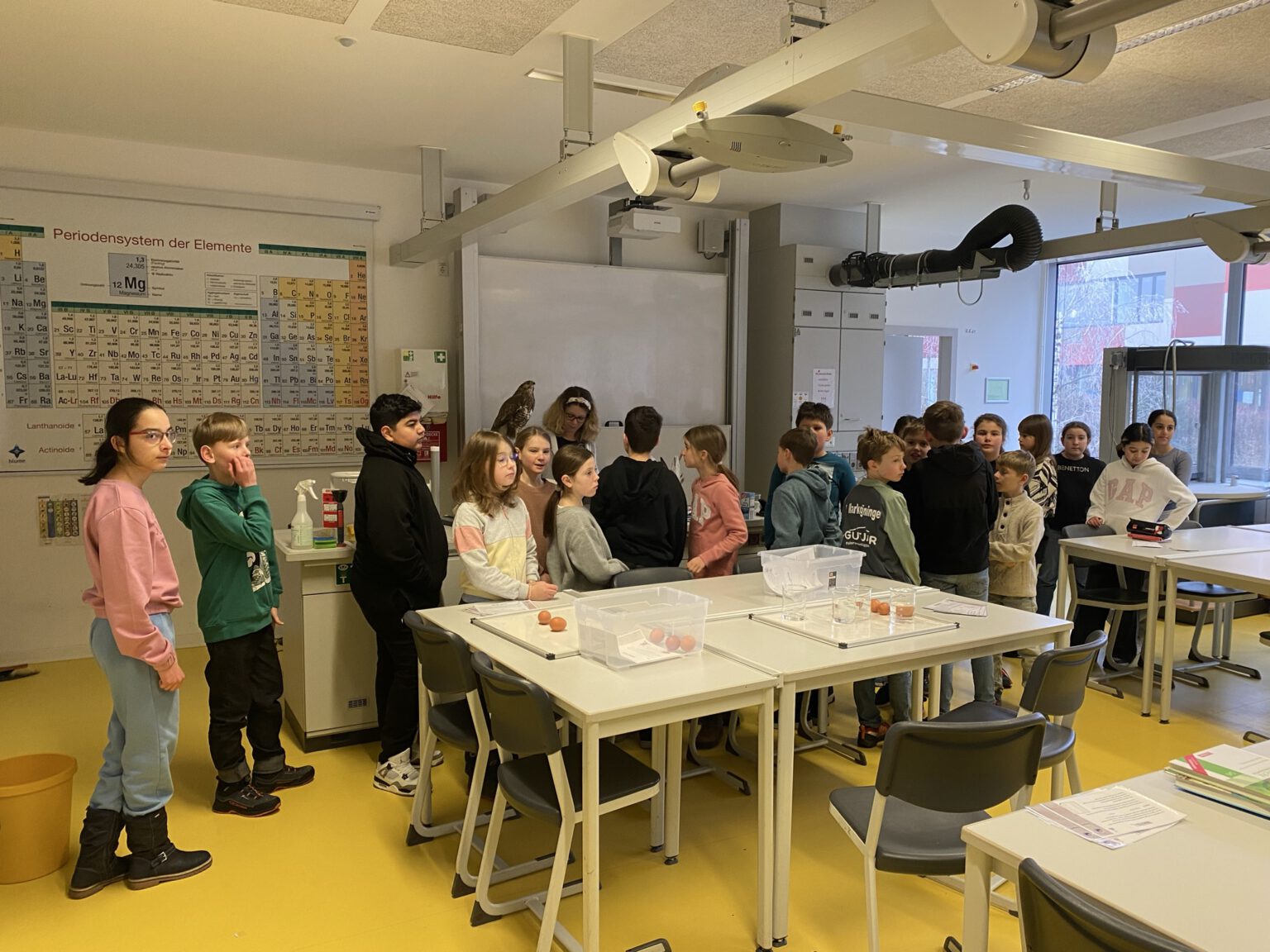 Besuch der Klassen 4 in der Realschule – Ludwig-Heyd-Schule Markgröningen